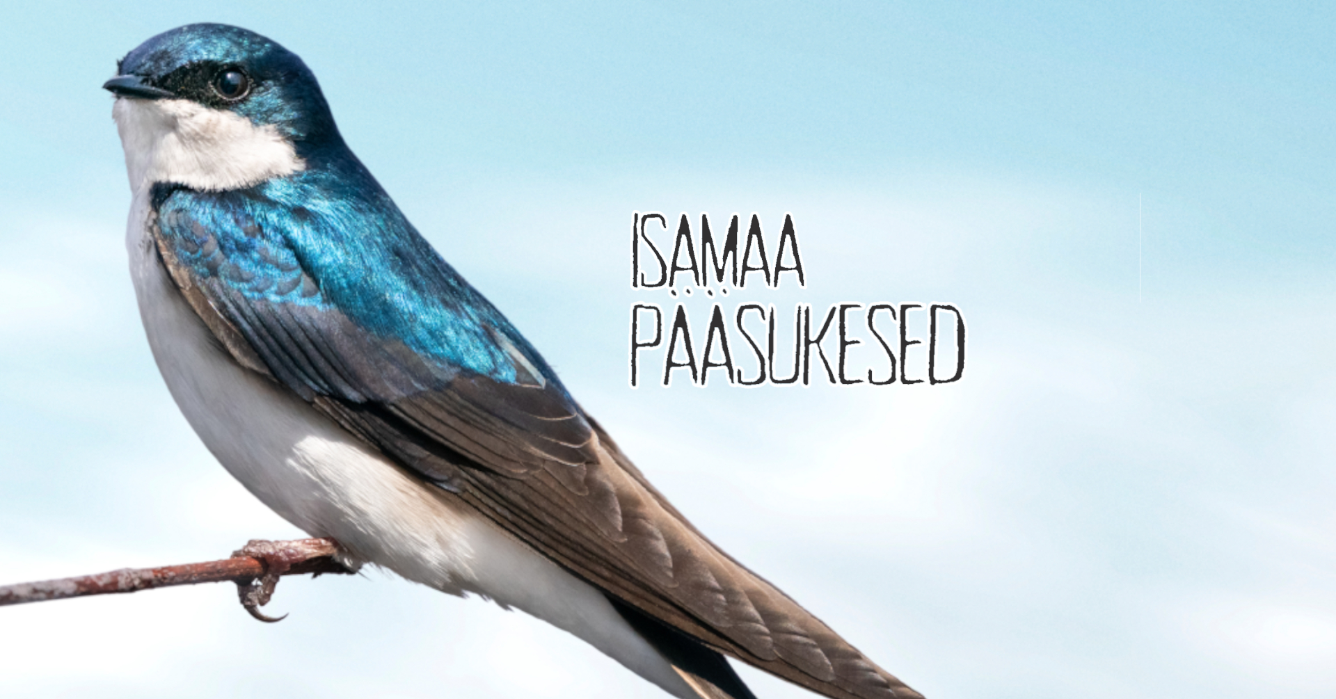 Andrus Kivirähki komöödia "Isamaa pääsukesed" - Tartu Linnamuuseum ...